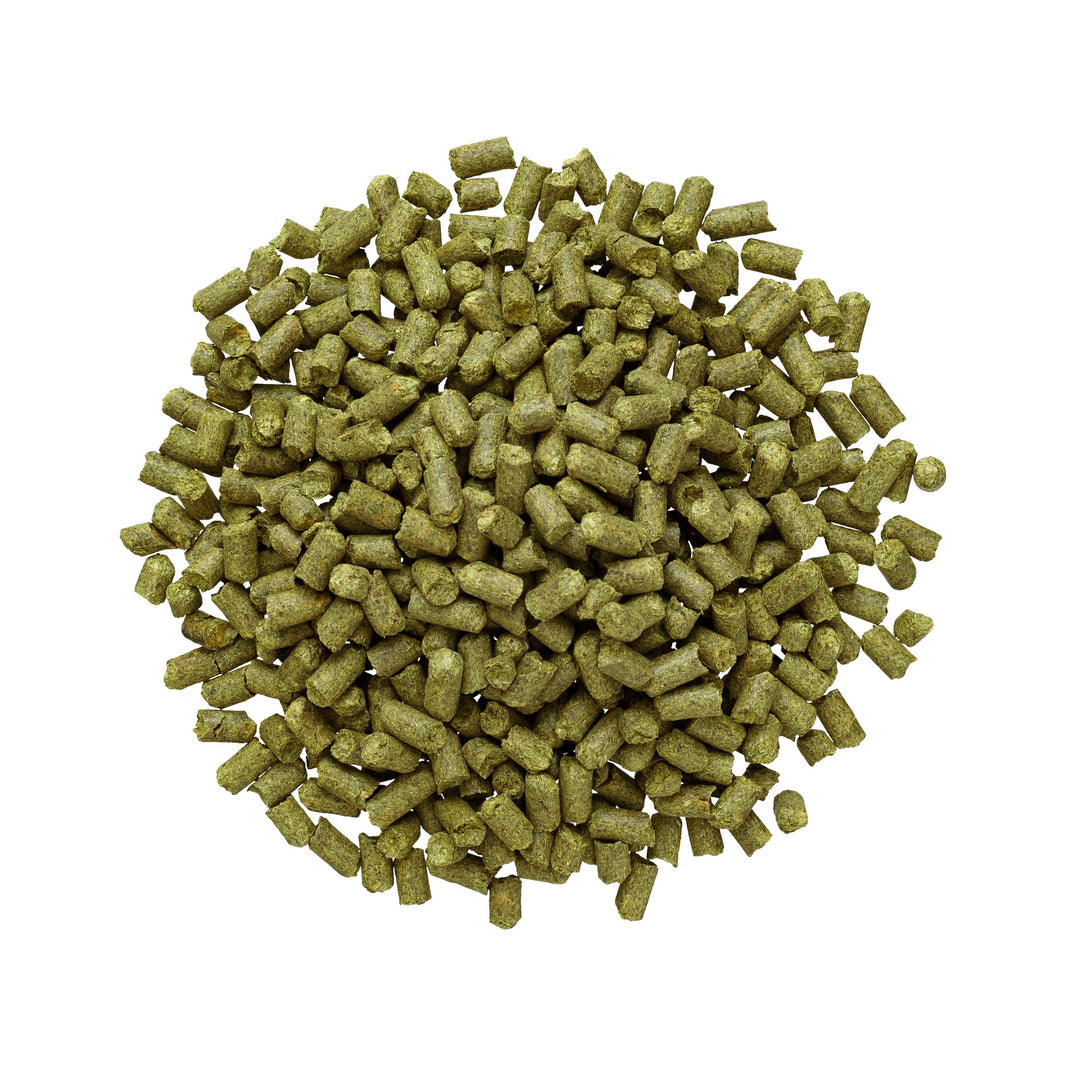 Hops for Beer Brewing | Aroma, Bittering & Dual-Purpose Hops – Grain ...